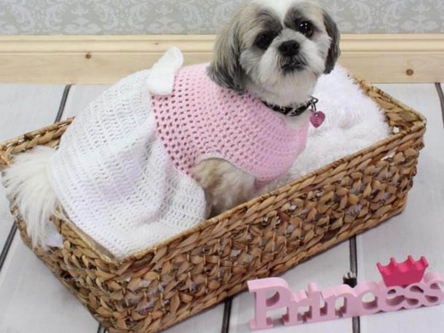 33 Crochet Dog Sweater Patterns - Crochet News
