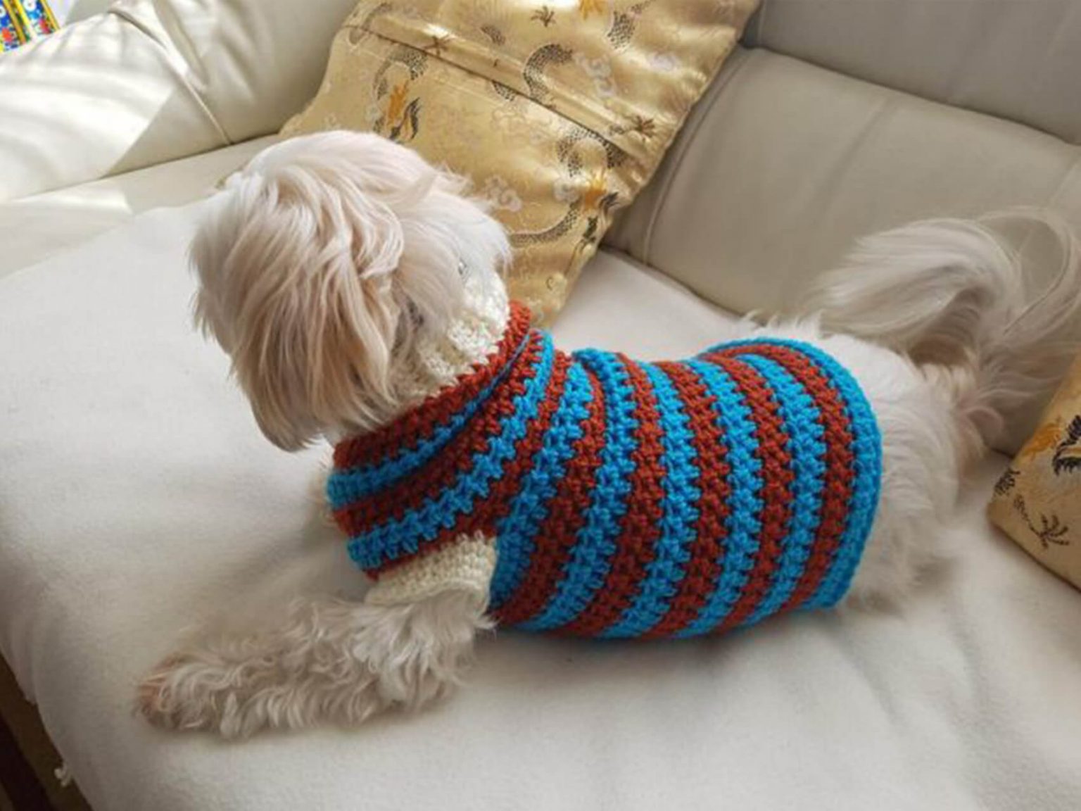 33 Crochet Dog Sweater Patterns - Crochet News