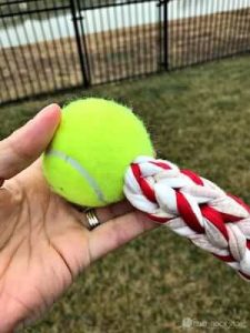 10 Crochet Dog Toys Patterns - Crochet News