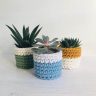 15 Crochet Plant Pot Cover Patterns - Crochet News