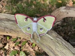 12 Crochet Moth Patterns - Crochet News