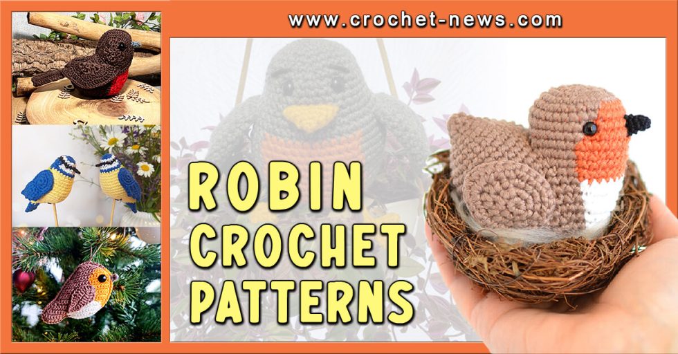 12 Crochet Robin Patterns - Crochet News
