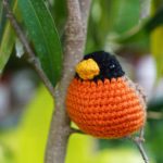 12 Crochet Robin Patterns - Crochet News