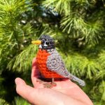 12 Crochet Robin Patterns - Crochet News