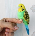 10 Crochet Budgie Patterns - Crochet News