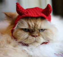 12 Crochet Devil Horns Patterns - Crochet News